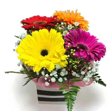 Same Day flower Delivery-Gerberas| Flowers By Jane